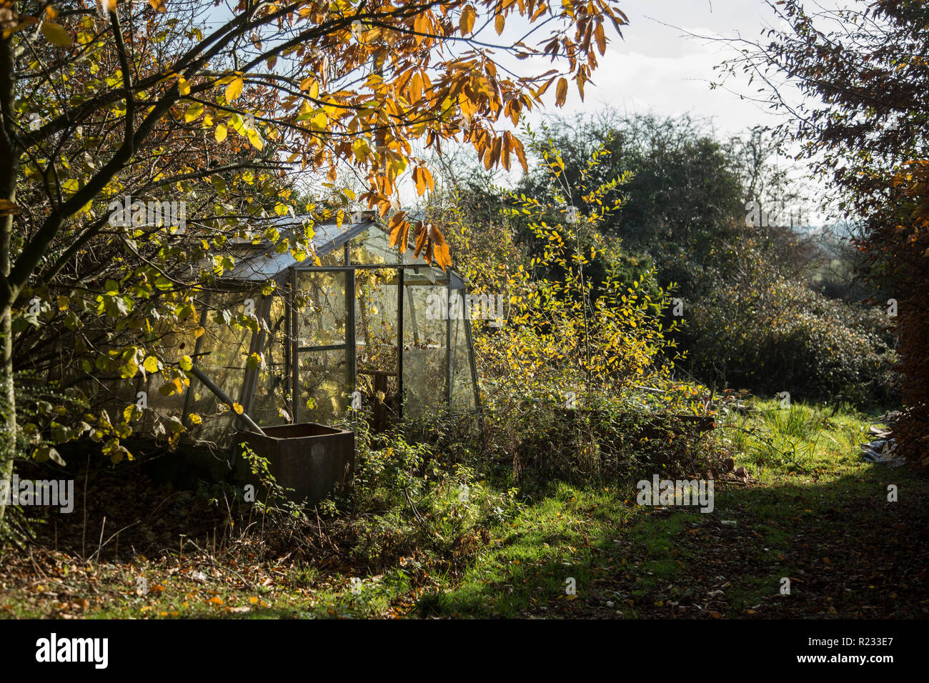 Overgrown hedges hi-res stock photography and images - Alamy