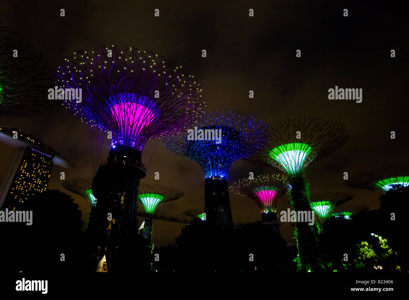 Gardens by the bay supertree grove light show at night in Singapore ...
