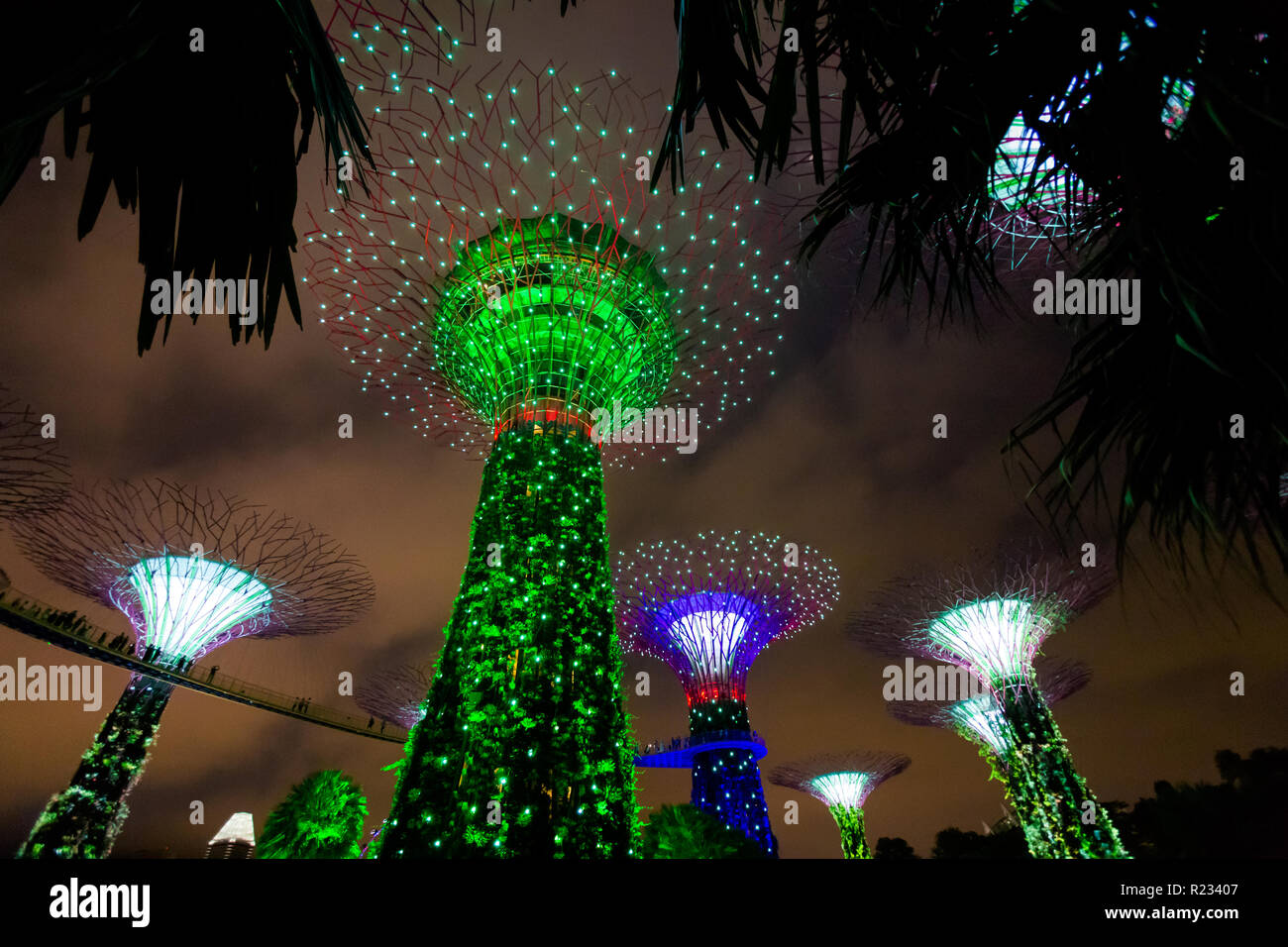 Gardens by the bay supertree grove light show at night in Singapore ...