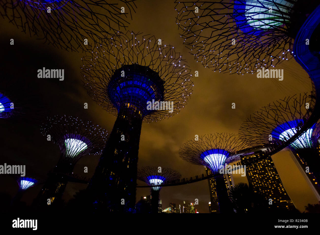 Gardens by the bay supertree grove light show at night in Singapore ...