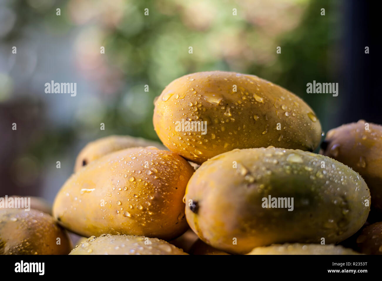 Alphonso mango hi-res stock photography and images - Alamy