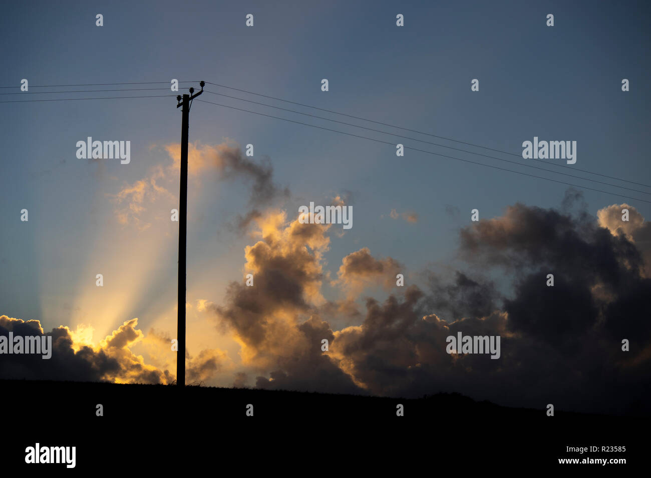 Dusk over farmland in the rural county of Hampshire with tree lined ...