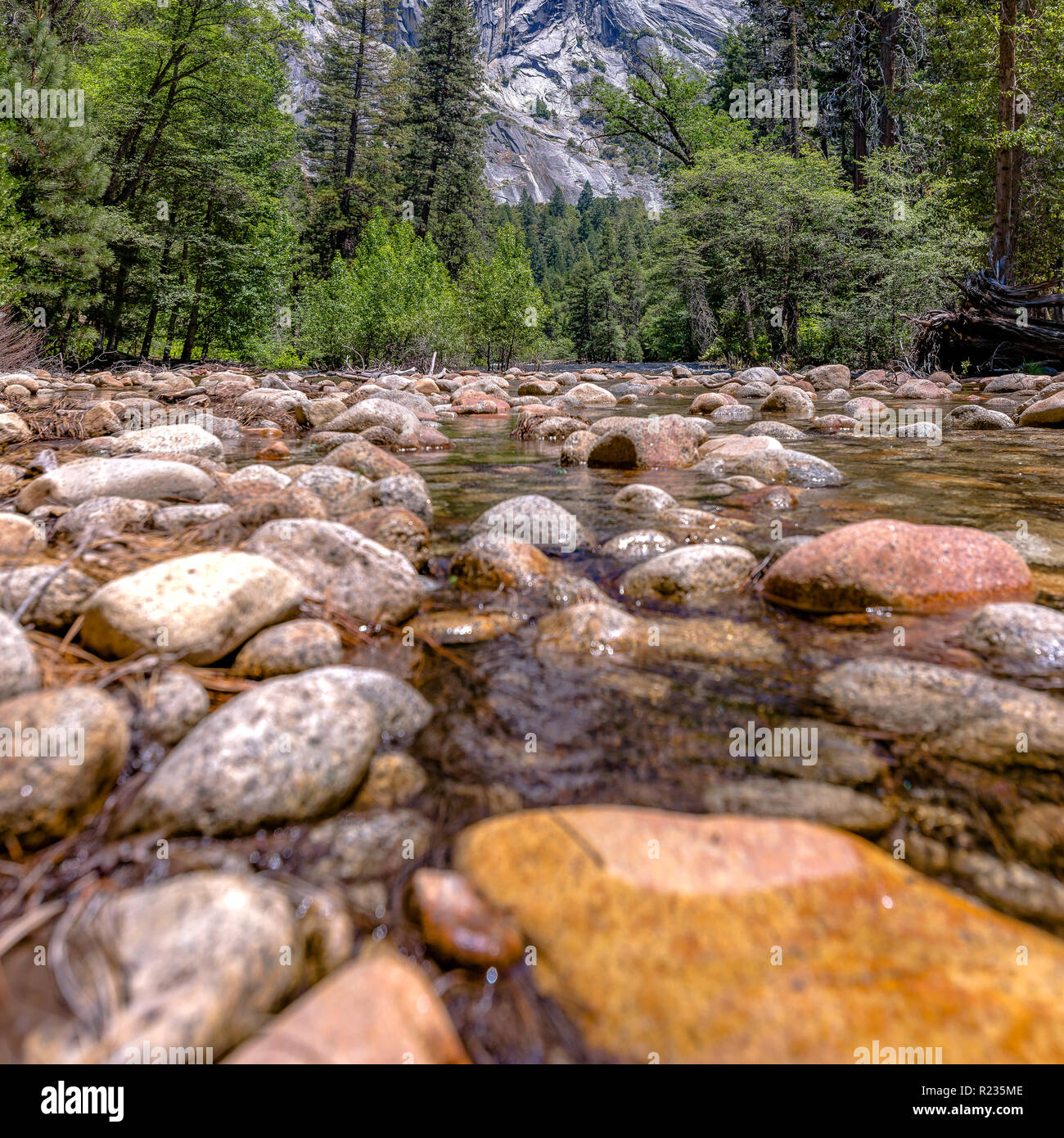 Shallow stream with trees and mountain in Yosemite Stock Photo - Alamy