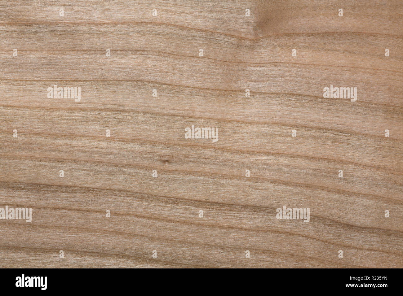Natural beige veneer background for your new style Stock Photo - Alamy