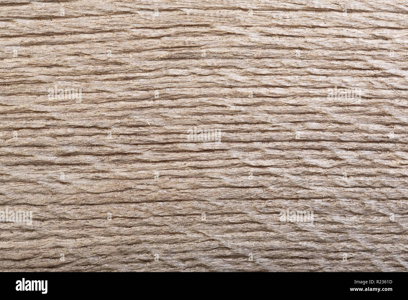 Old natural wood bog oak. Macro photo, texture Stock Photo - Alamy