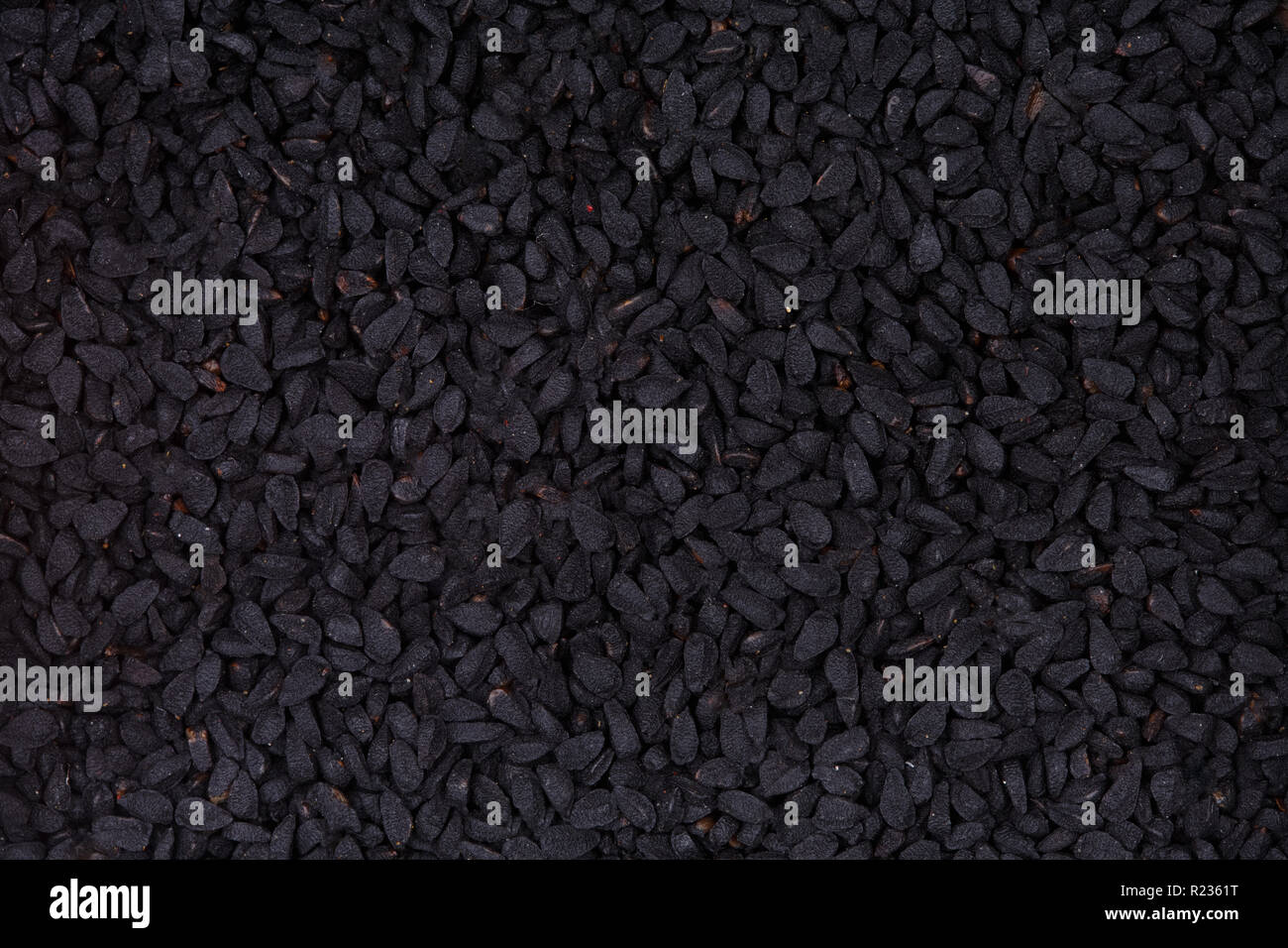 Black cumin seeds, Nigella sativa - closeup background Stock Photo - Alamy