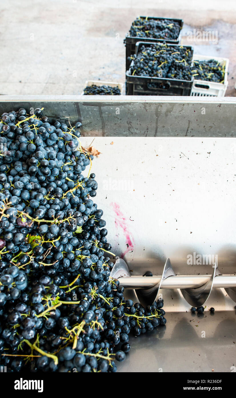 Grape Crushing Destemmer High Resolution Stock Photography and Images ...