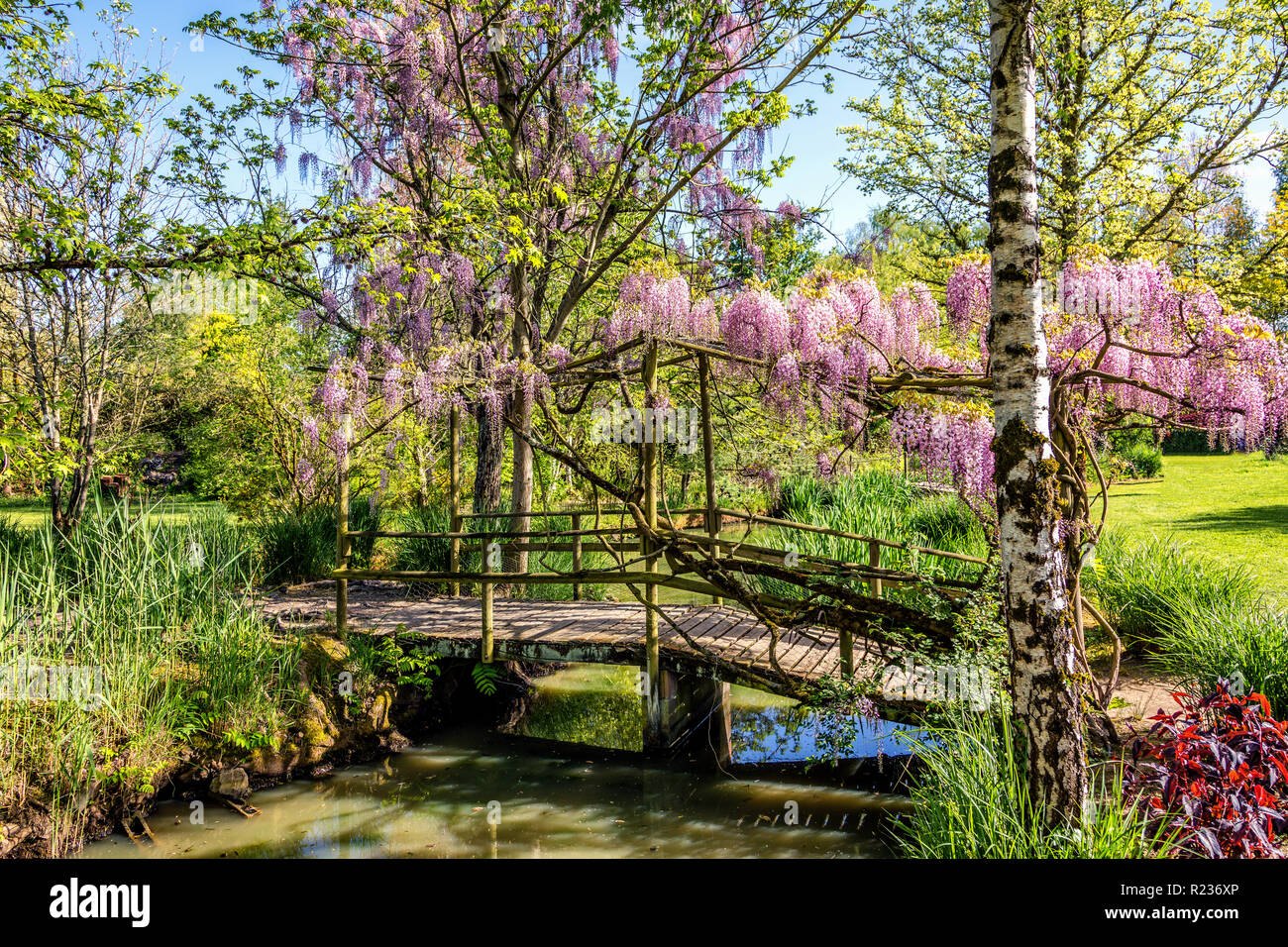 Small wooden bridge in a garden Stock Photo - Alamy