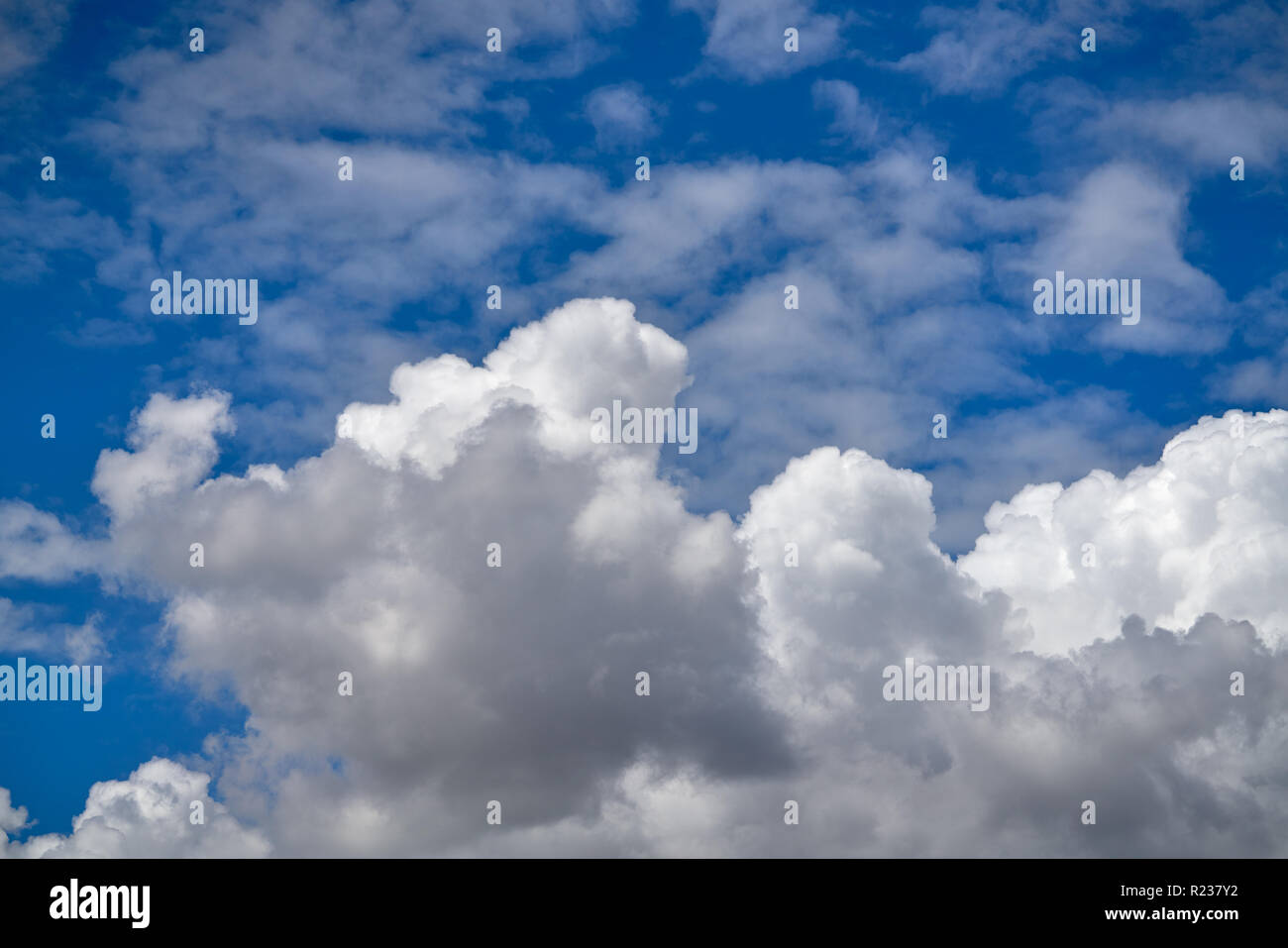 Blue summer sky with cumulus white clouds Stock Photo - Alamy