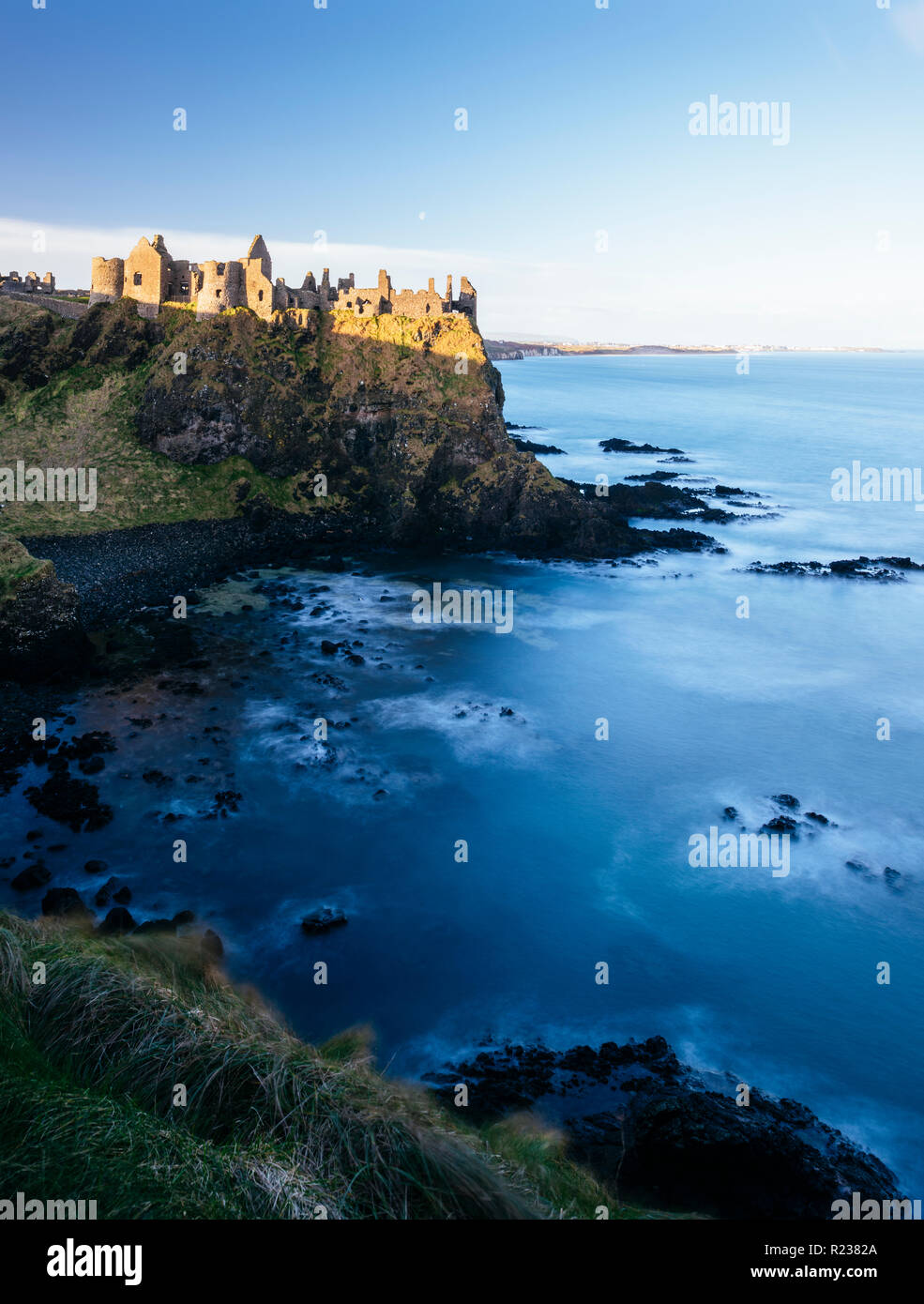 Dunlace hi-res stock photography and images - Alamy