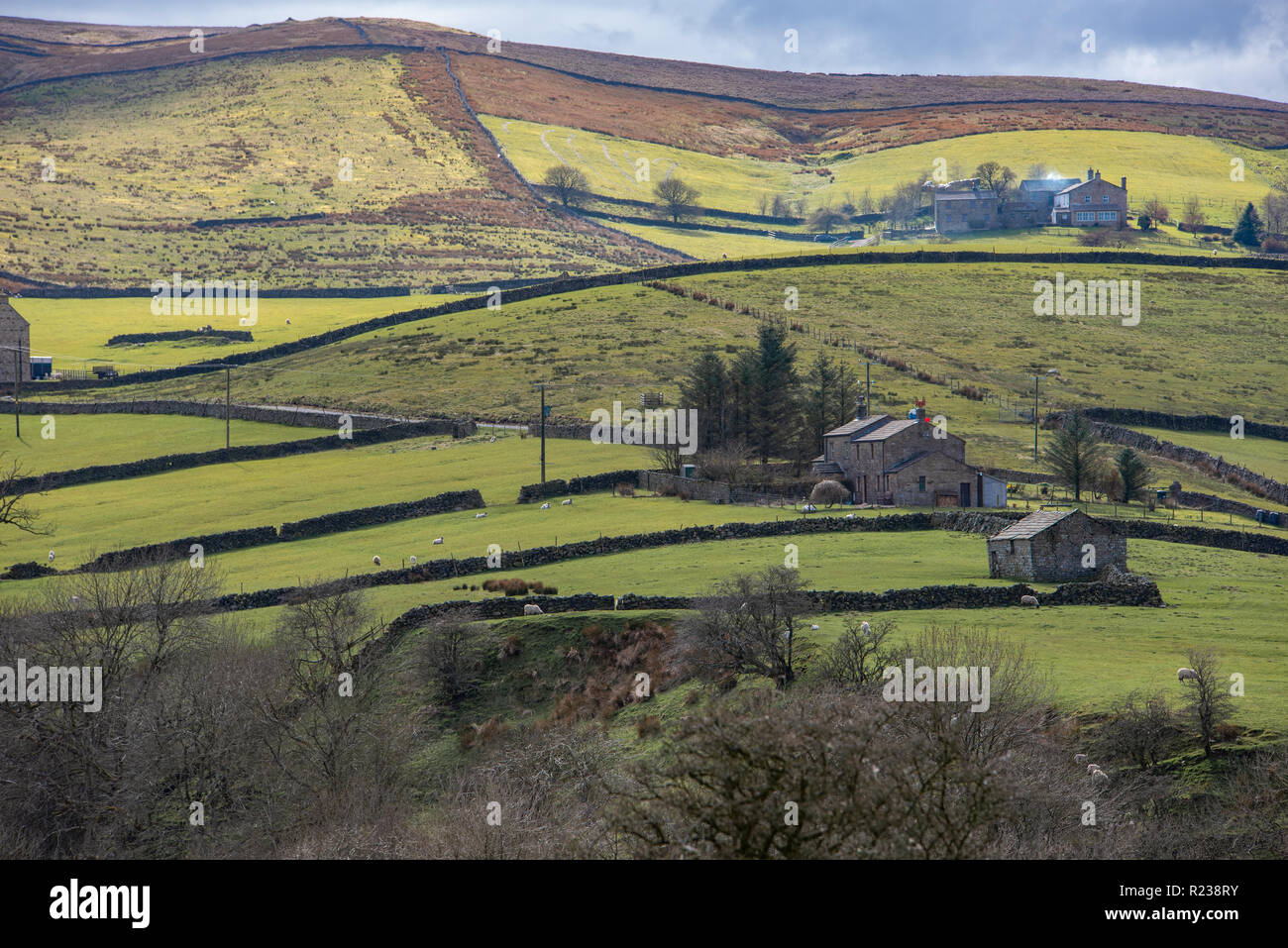 A landscape of smallholdings, rural houses and dray stone walls in the ...