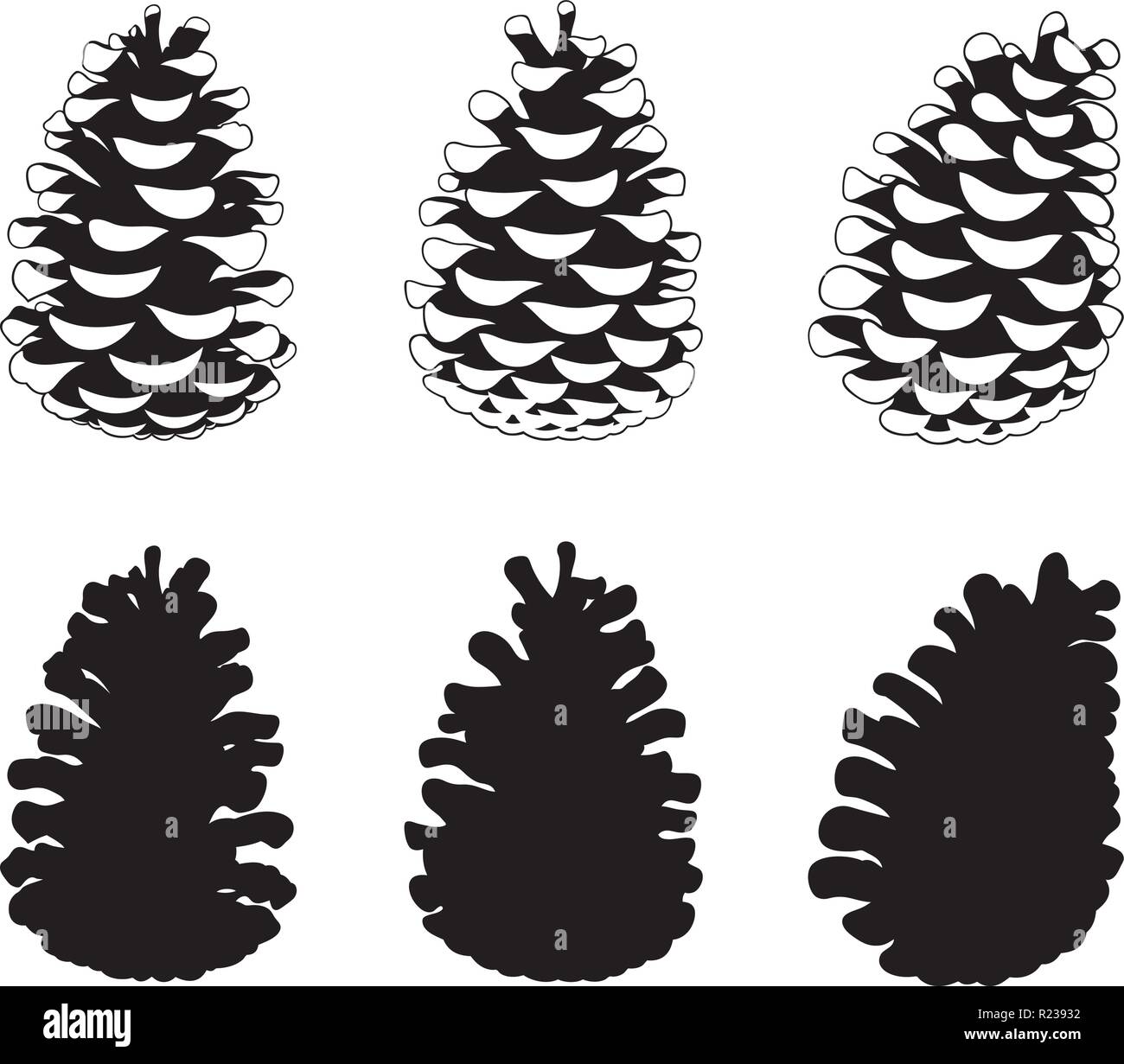 Close up pine cones Stock Vector Images - Alamy