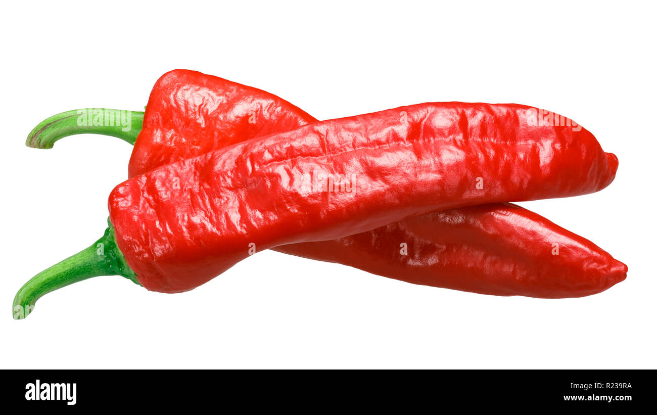 Aleppo pepper (Capsicum annuum), fresh overripe whole pods, crossed ...