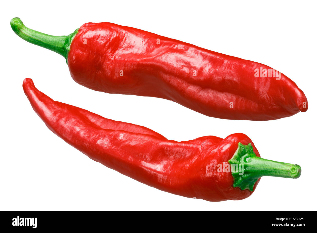 Aleppo pepper (Capsicum annuum), fresh overripe whole pods Stock Photo ...