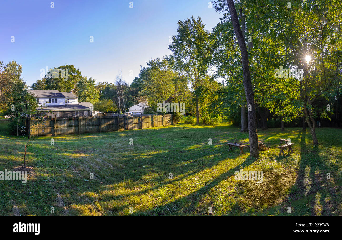 House of the big tree trees hi-res stock photography and images - Alamy