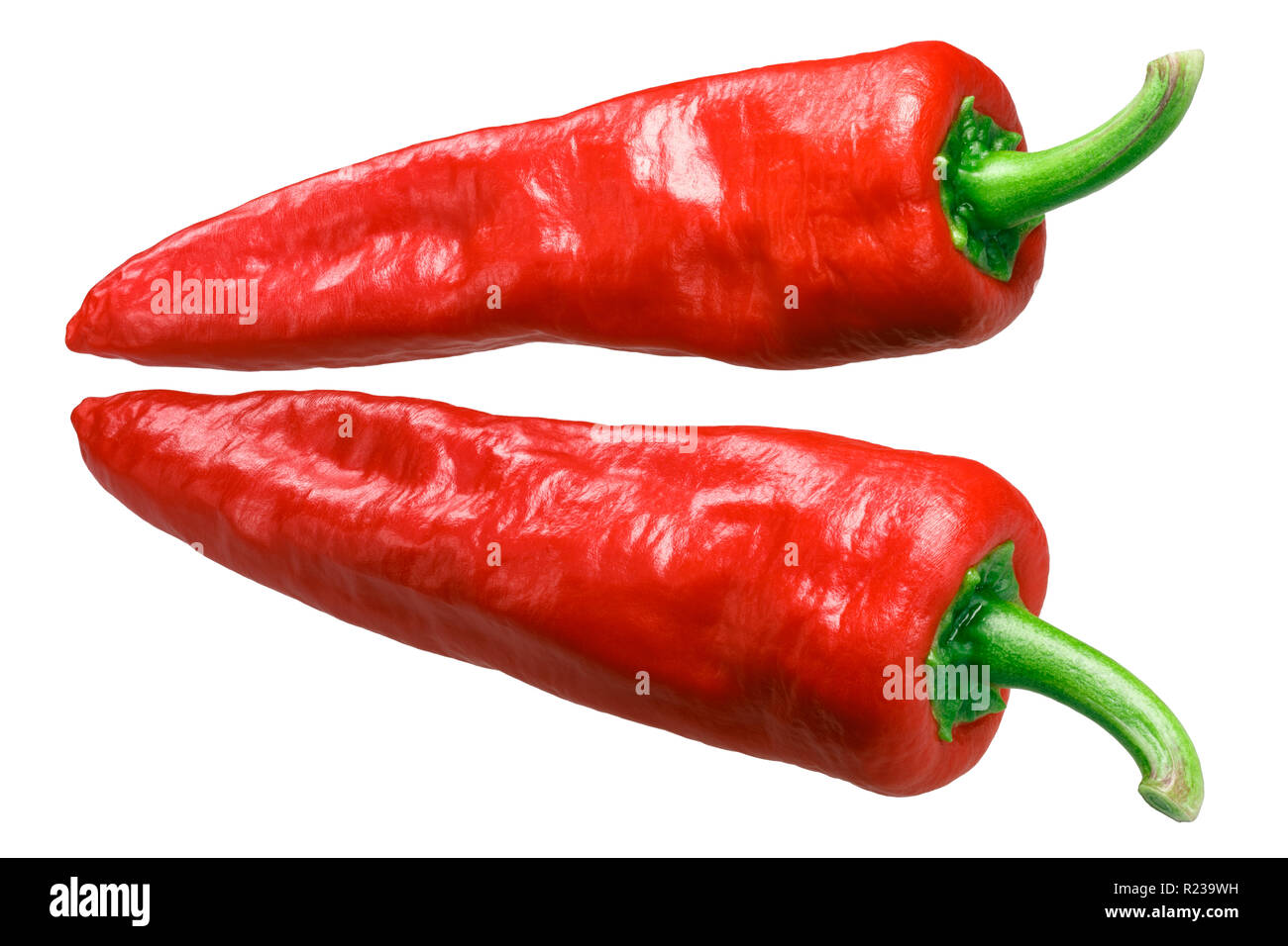 Aleppo pepper (Capsicum annuum), fresh overripe whole pods Stock Photo ...