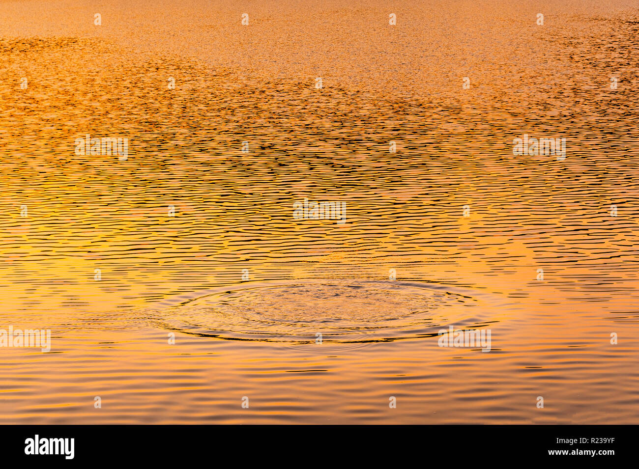 Splashes in lake hi-res stock photography and images - Alamy