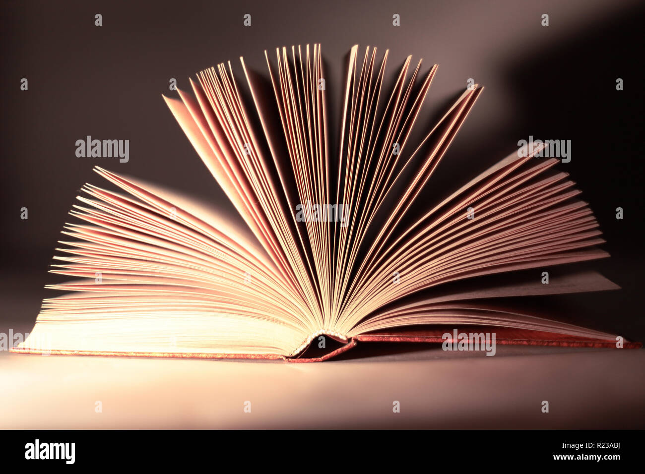 open book.isolated on a yellow background. photo with copy space Stock ...