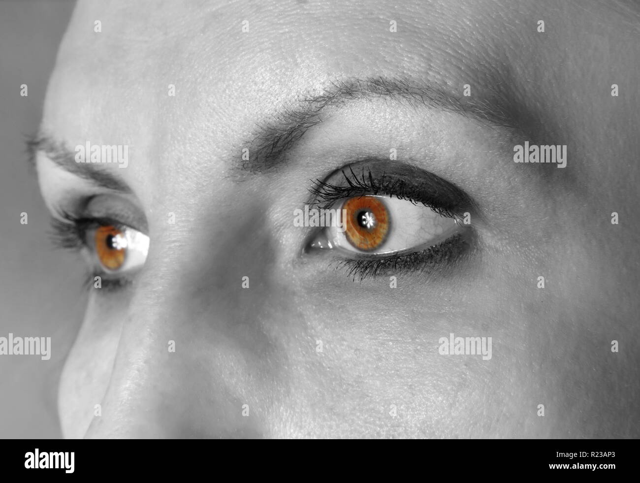 Closeup of the female eye Stock Photo - Alamy