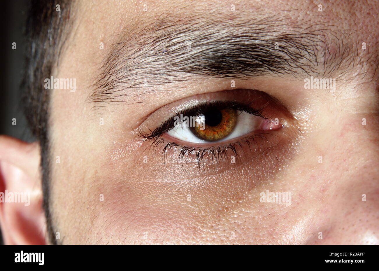 Closeup of the male eye Stock Photo - Alamy