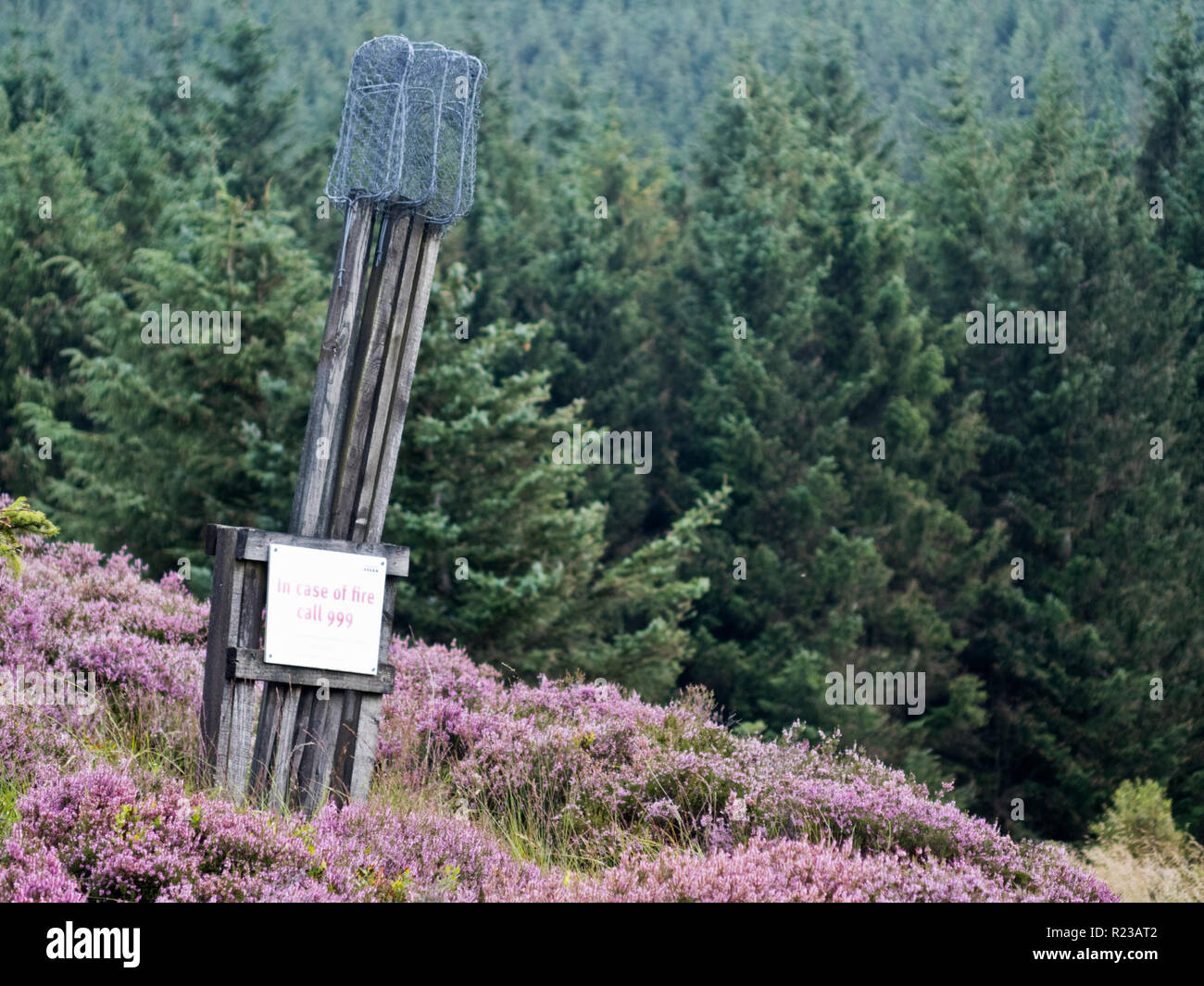 Rack of Fire Beater Tools on Heather Moorland and Conifer Plantation ...