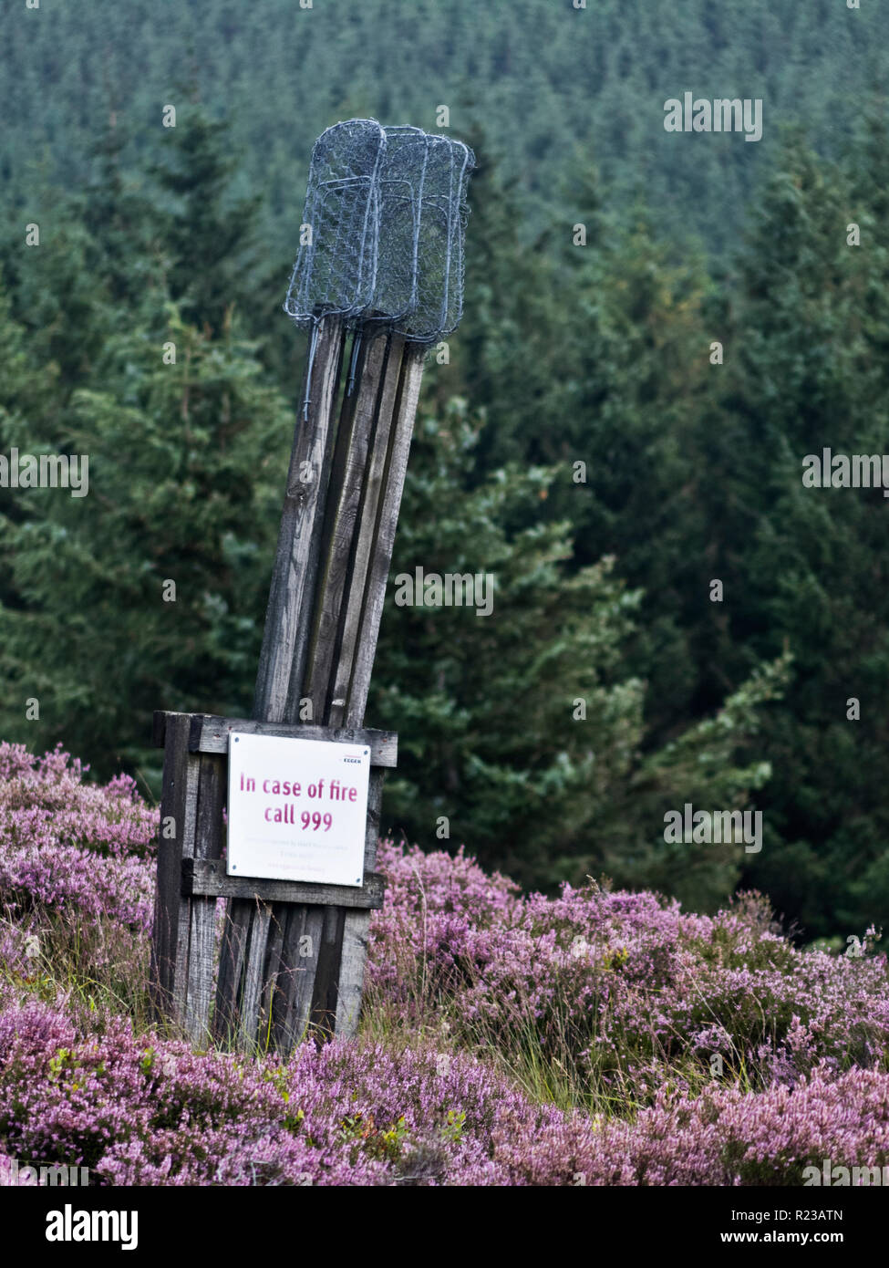 Rack of Fire Beater Tools on Heather Moorland and Conifer Plantation ...