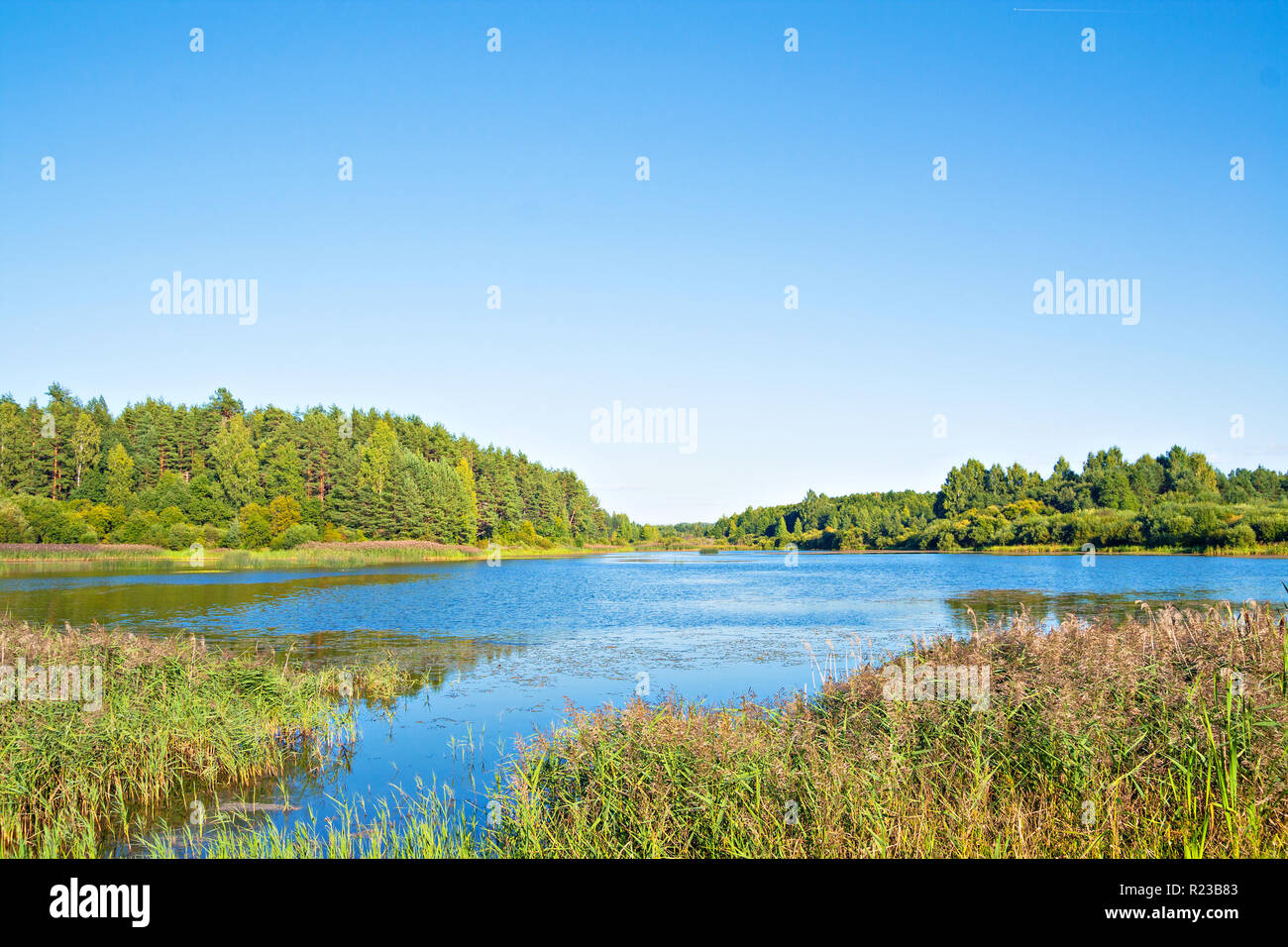 Beautiful landscape with the wood, the lake and the rivulet in Pushkin ...