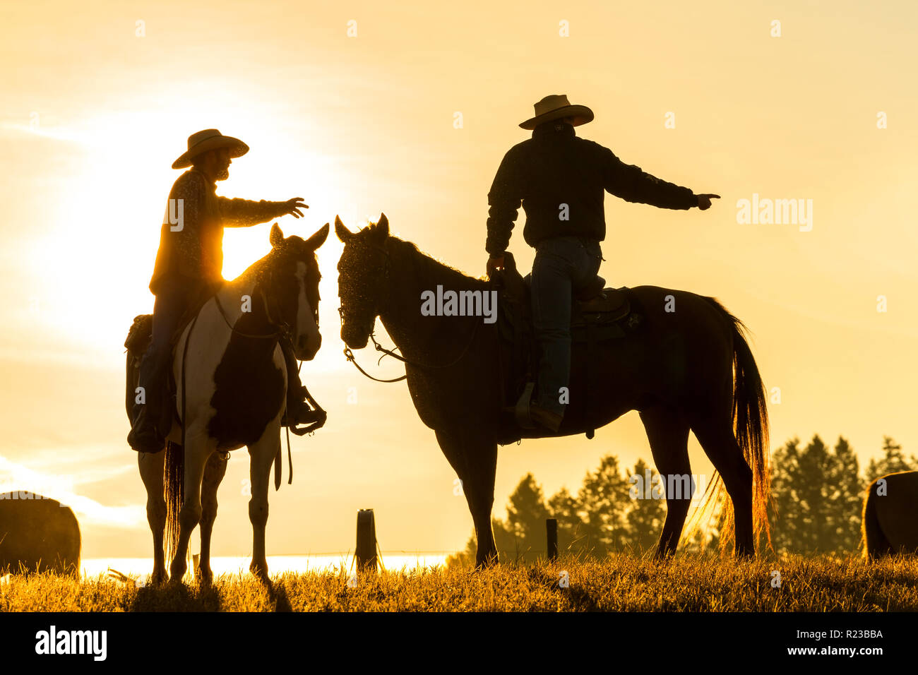 Cowboys on horses hi-res stock photography and images - Alamy