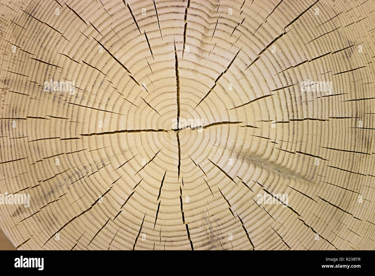 End face hi-res stock photography and images - Alamy