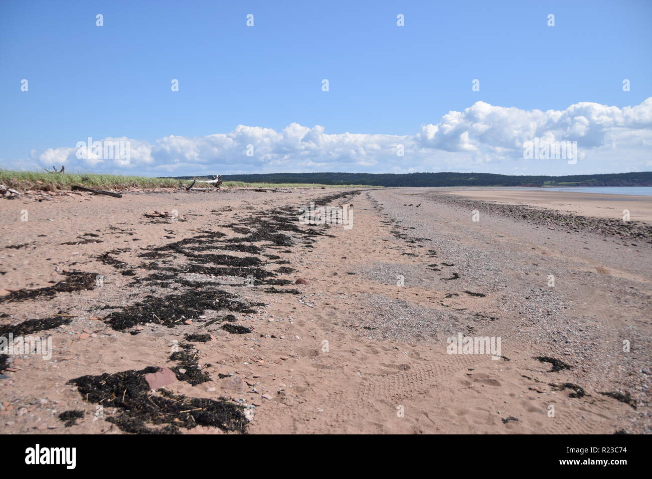 Sandy beach disappearing into the distance Stock Photo - Alamy