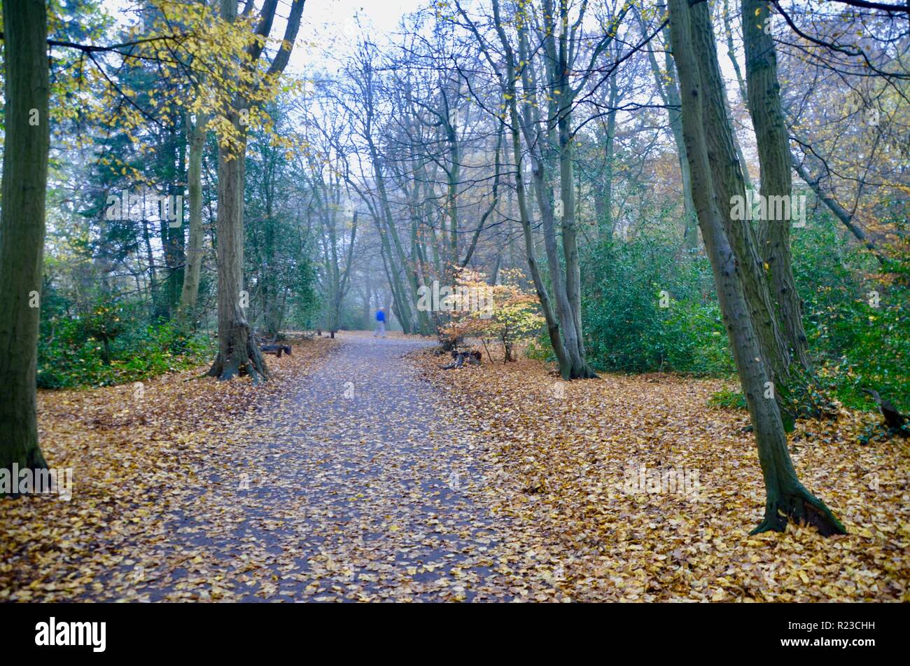 people walking in historic highgate wood north london N10 england Stock ...