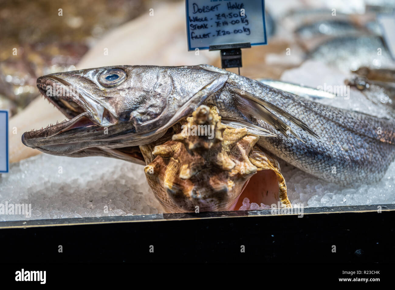 A display of Hake fish, on ice, in a fresh food market Stock Photo - Alamy