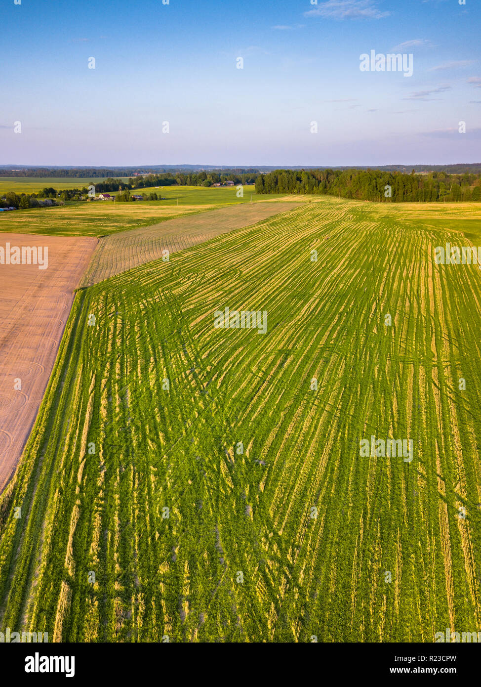 Drone Photo of the Road Between Fields in Colorful Early Spring in ...