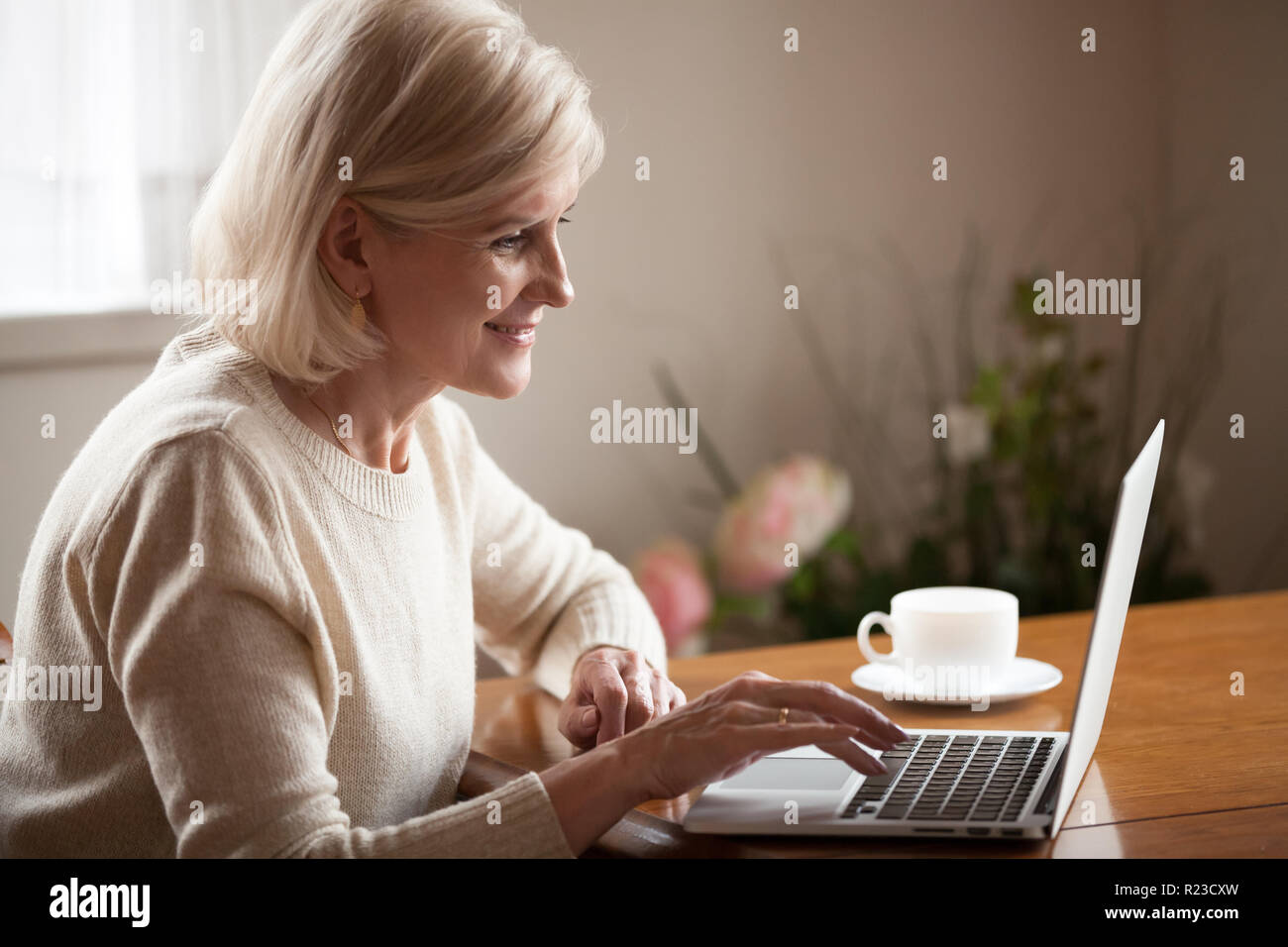 Elderly old lady typing text hi-res stock photography and images - Alamy
