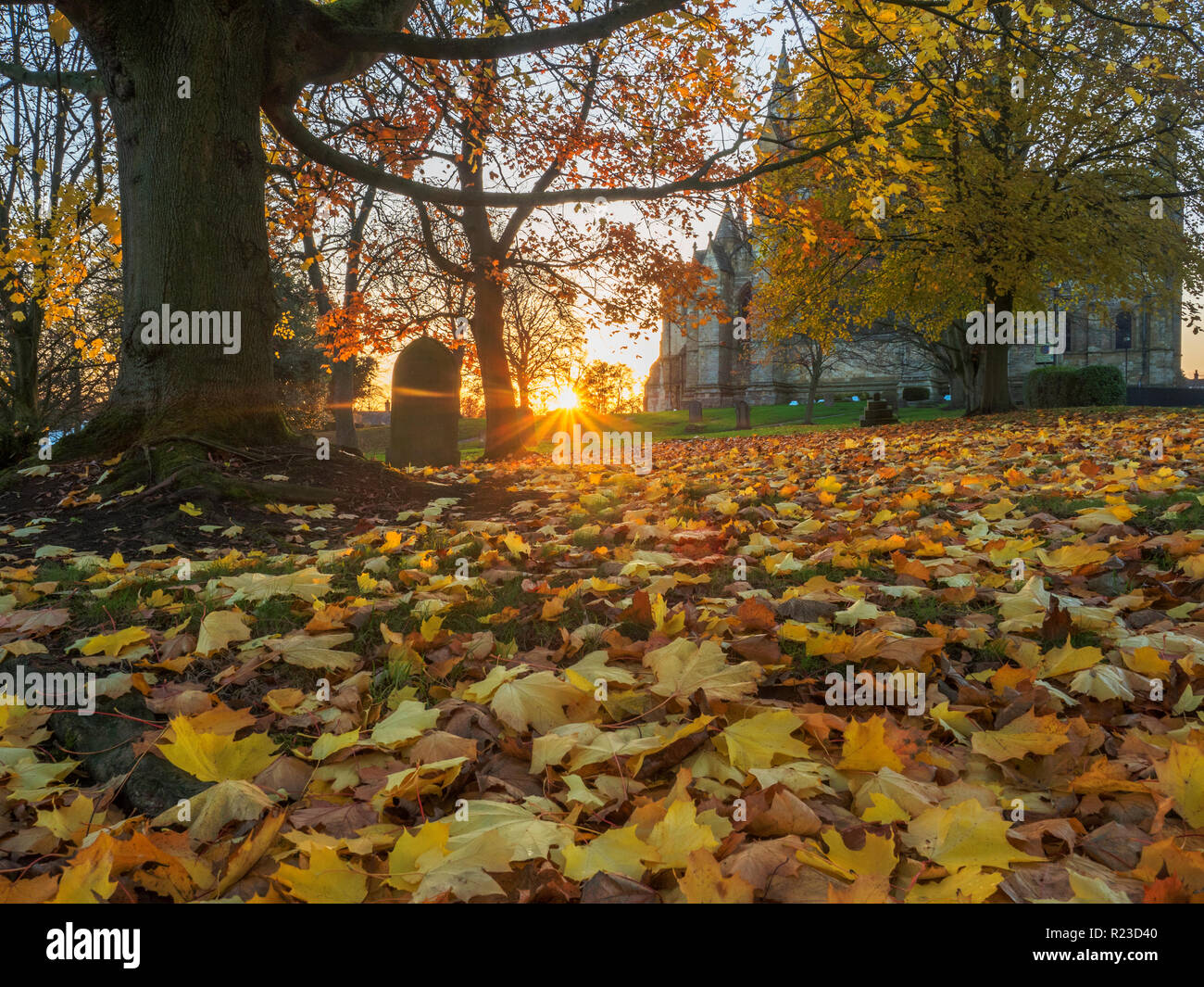 Graveyard ripon cathedral hi-res stock photography and images - Alamy