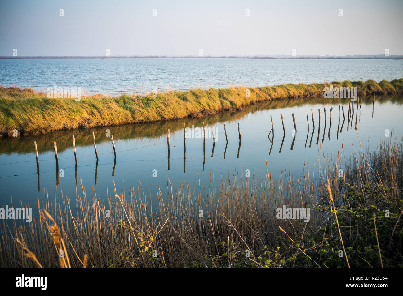 National park Delta del Po, Italy, Europe Stock Photo - Alamy