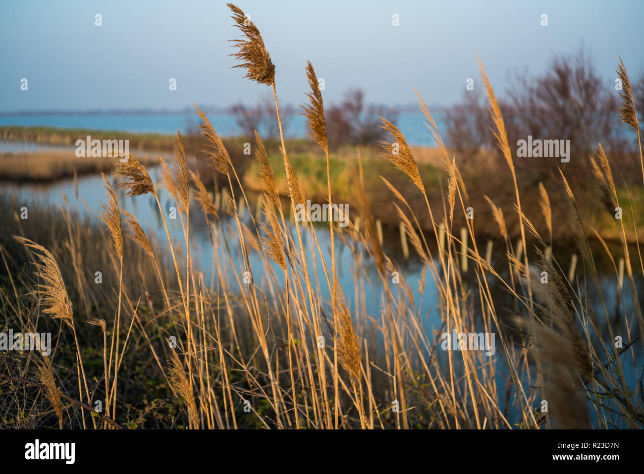 Po delta national park hi-res stock photography and images - Alamy