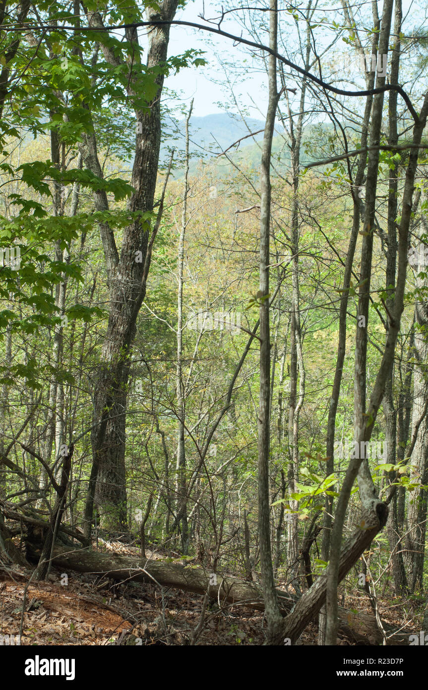 Wilderness road historic kentucky hi-res stock photography and images ...