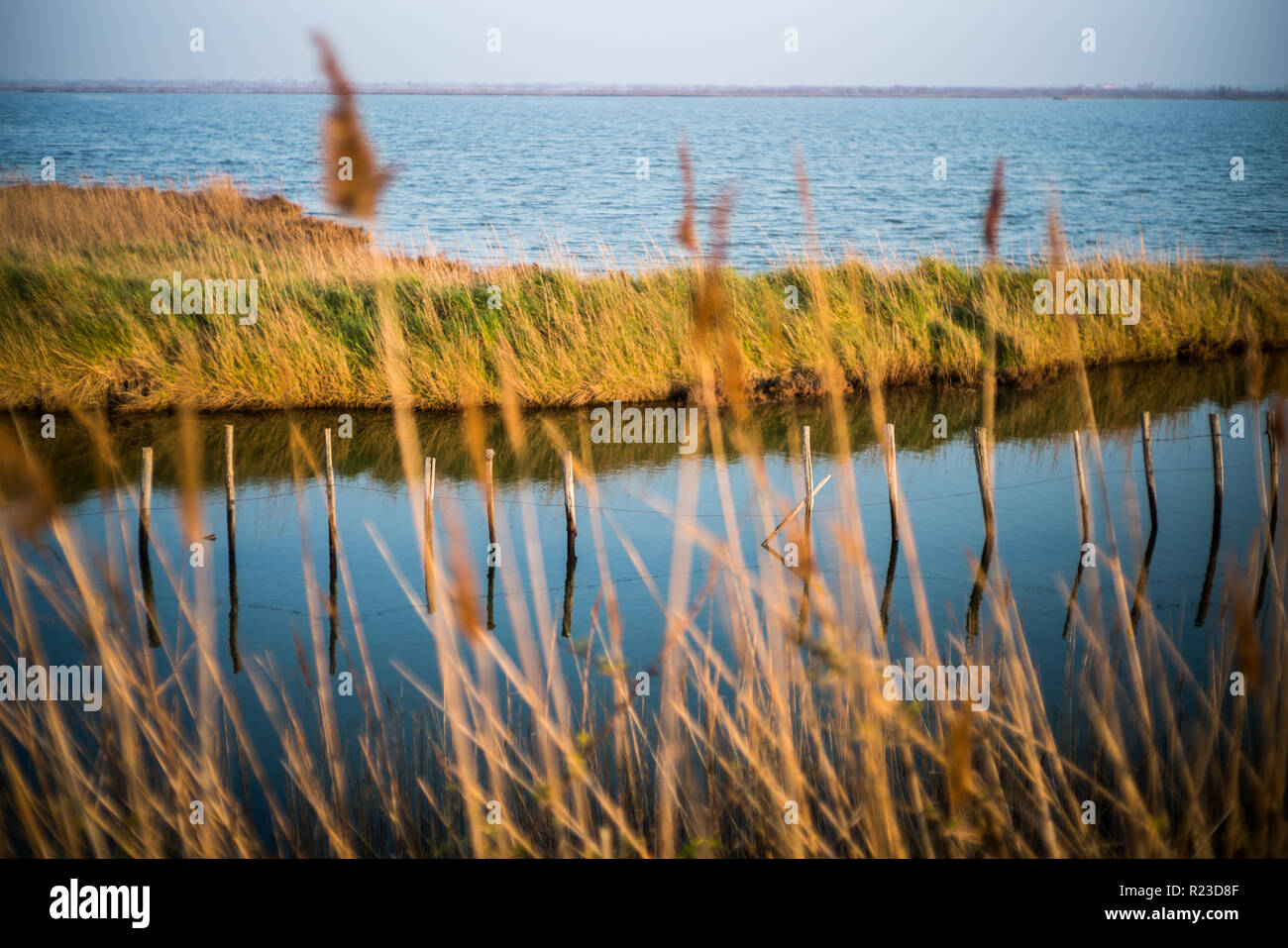Delta po national park hi-res stock photography and images - Alamy