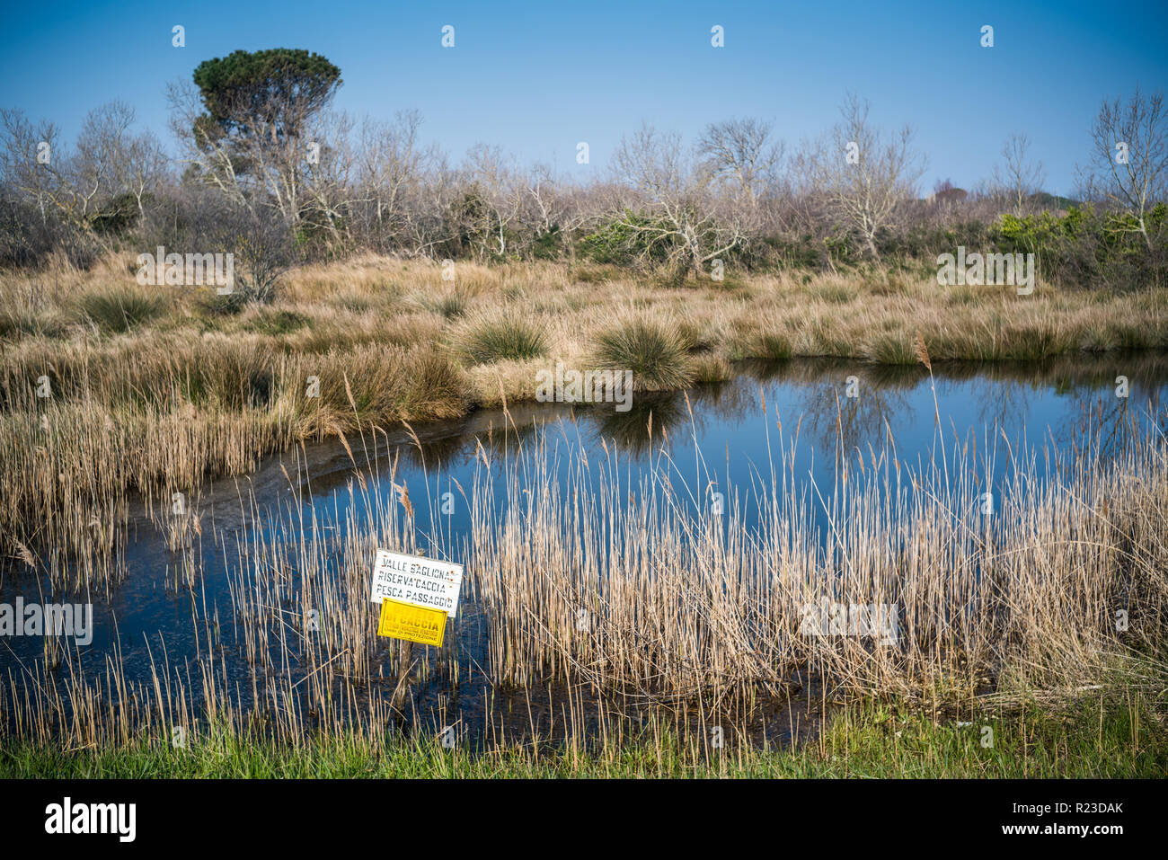 Delta of river po national park hi-res stock photography and images - Alamy