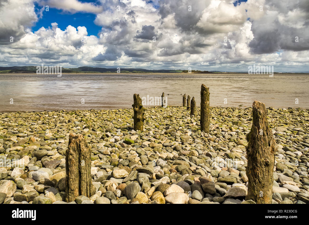 A row of eroded wooden posts on a pebbly beach Stock Photo - Alamy