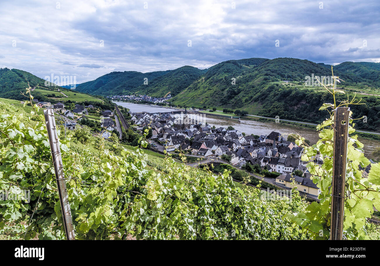 Germany rhineland palatinate moselle zell wine hi-res stock photography ...