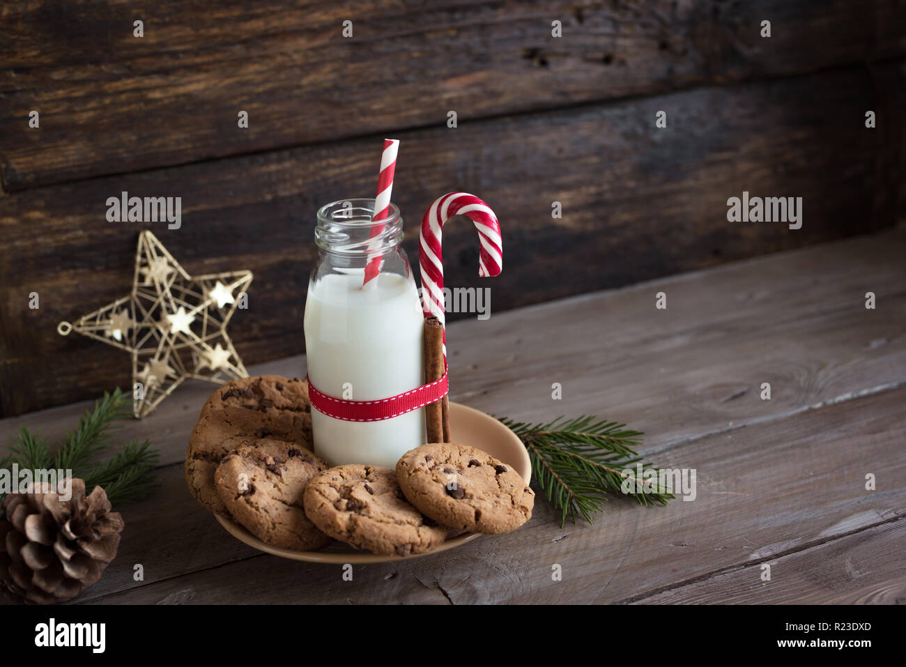 Cookies and Milk for Santa. Traditional Christmas homemade chocolate ...