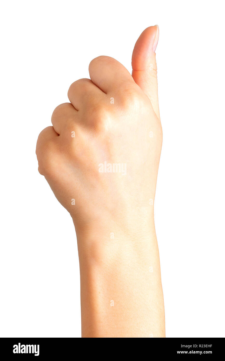 Clenched Fist Back
