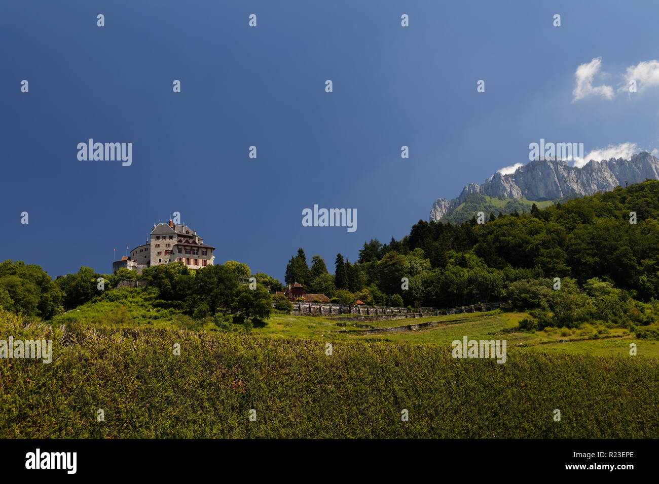Chateau de menthon lake annecy hi-res stock photography and images - Alamy
