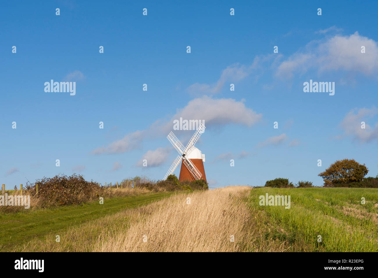 Halnaker windmill, West Sussex, UK. South Downs National Park. November ...