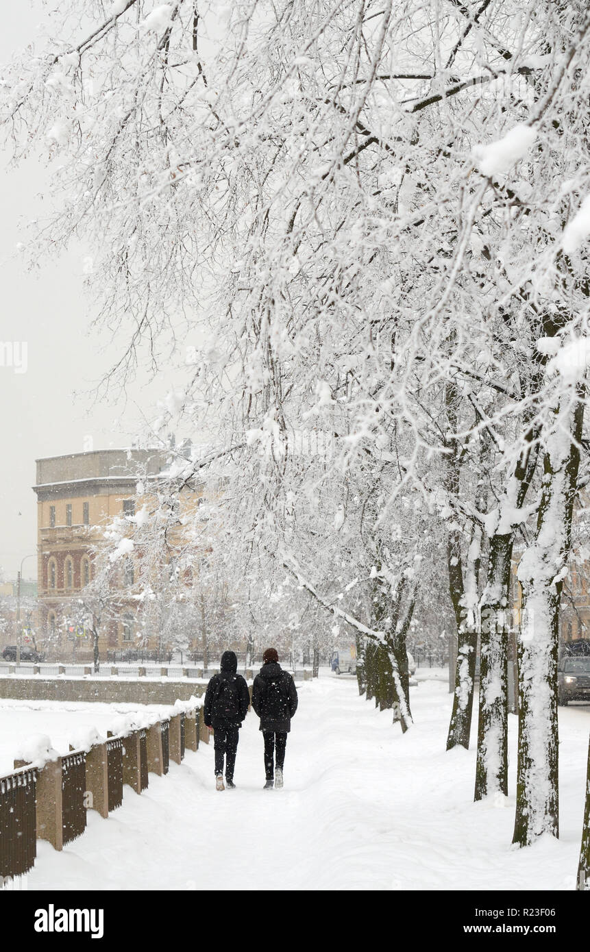 Snow-white winter in the city.The trees are covered with bright snow ...