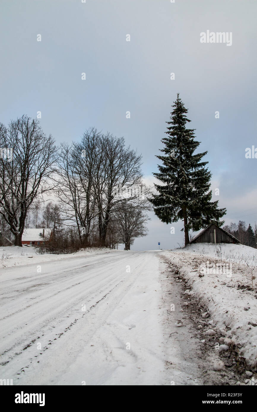 snow and ice covered road in countryside in winter with tire tracks ...