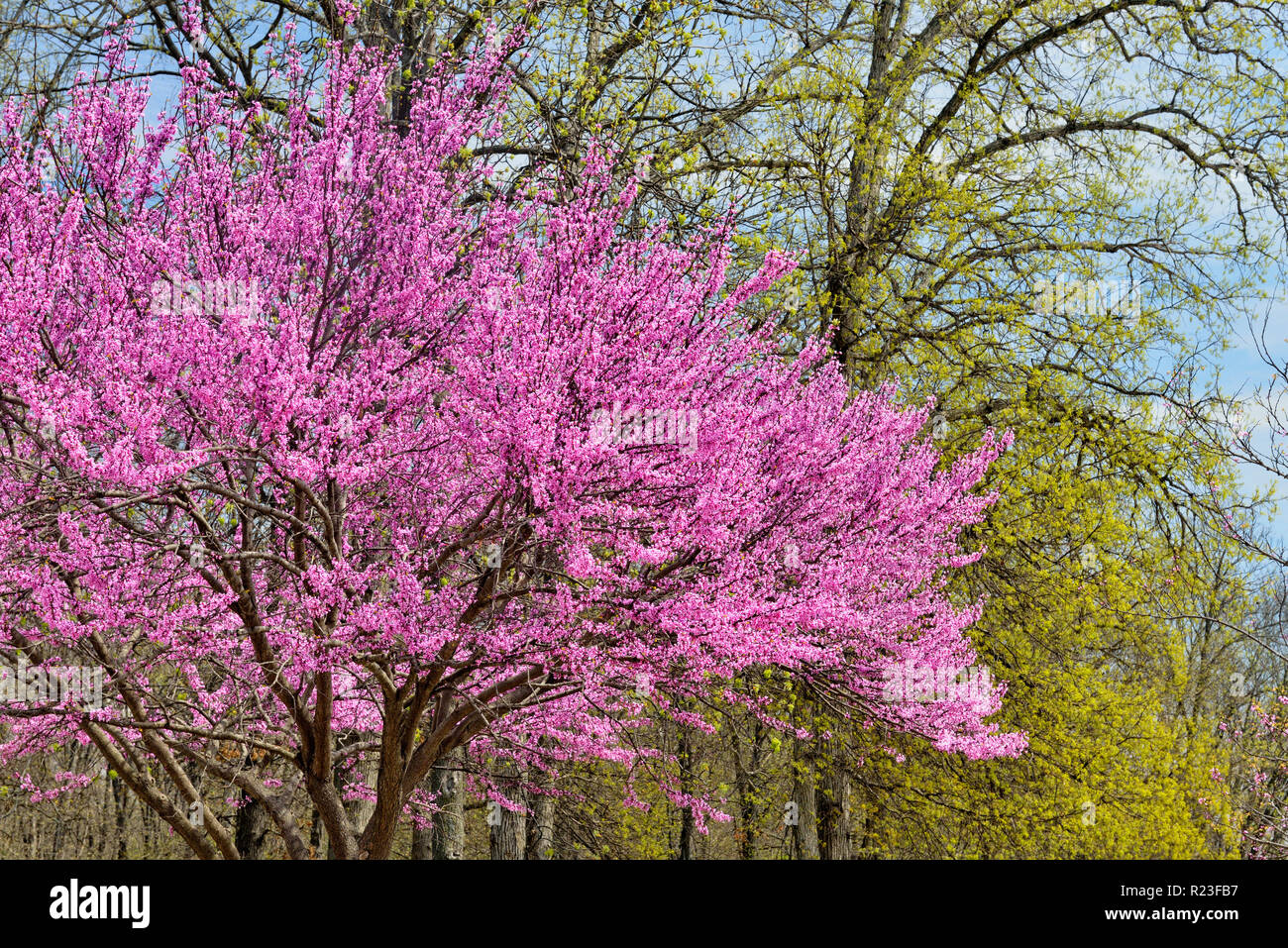 Keptown hi-res stock photography and images - Alamy