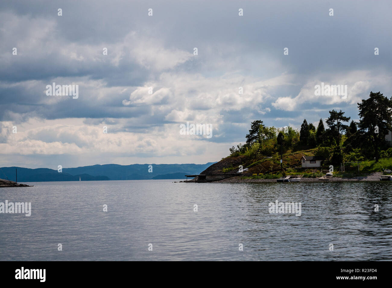 rocky coastline in Norway with few pine trees and calm water under blue ...